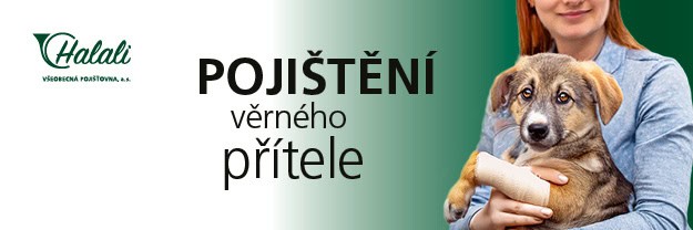 Pojištění věrného přítele | Dokonalá Láska